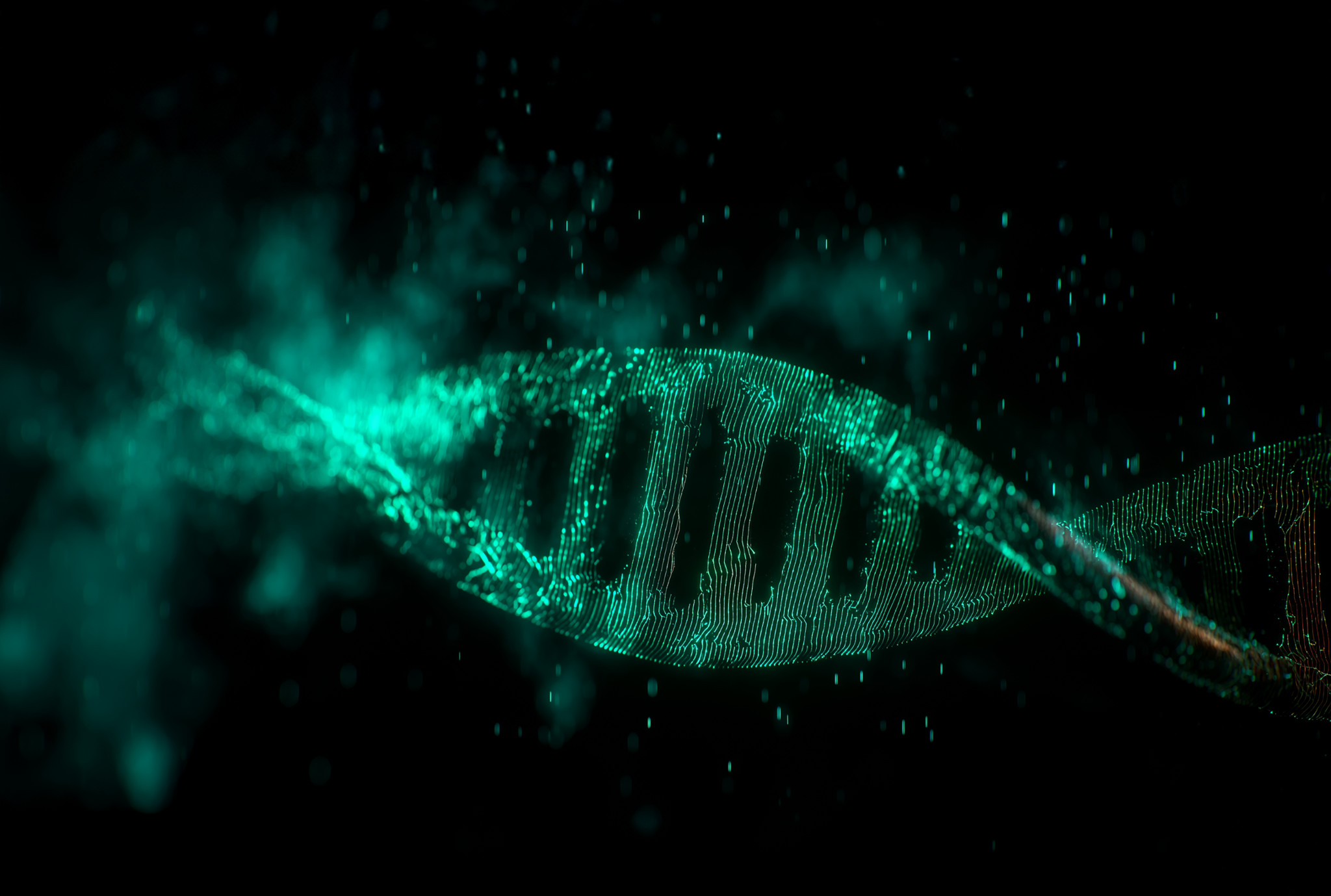 About Us | Deep Instinct
