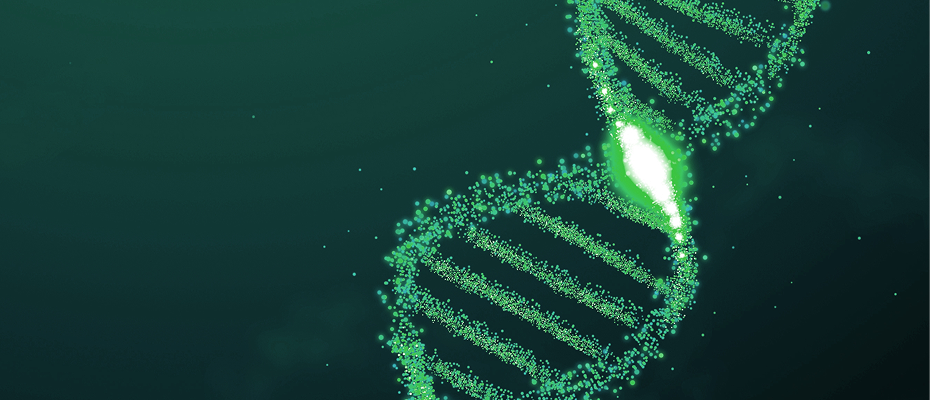 About Us | Deep Instinct