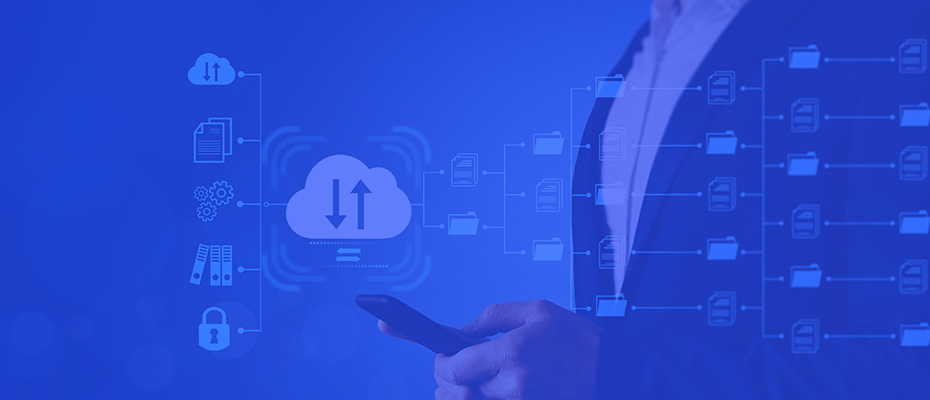 The Zero-Day Attack on the MOVEit File Transfer Software | Deep Instinct